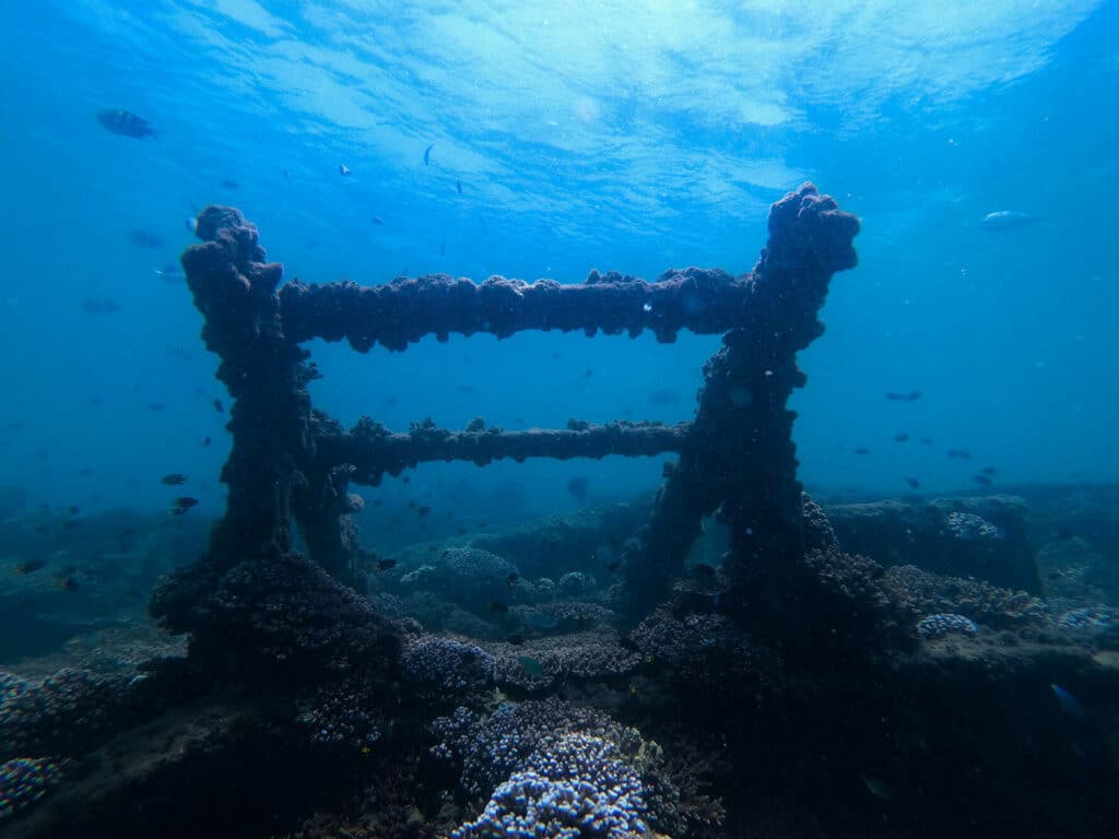 How did the Tangalooma Wrecks get to Moreton Island? - See Moreton
