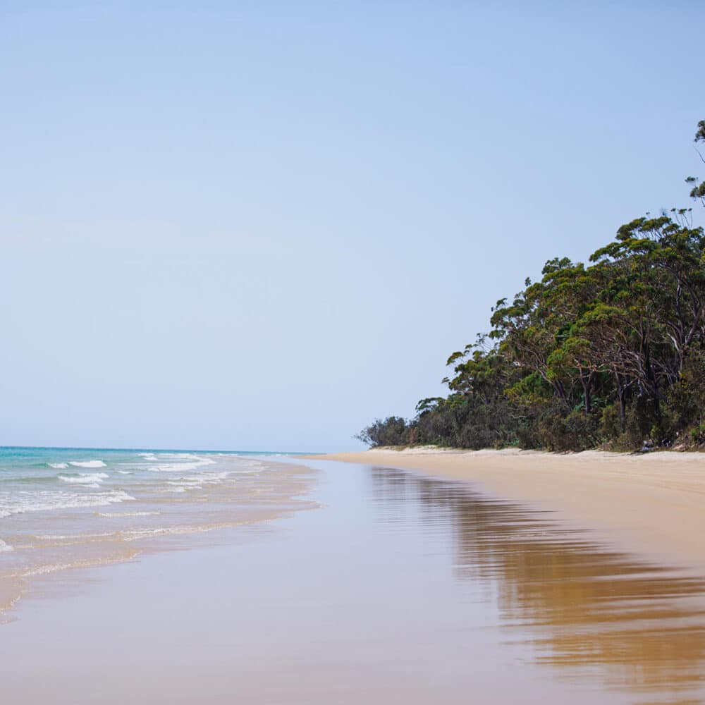 Moreton Island - See Moreton