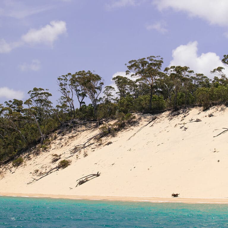 Moreton Island - See Moreton