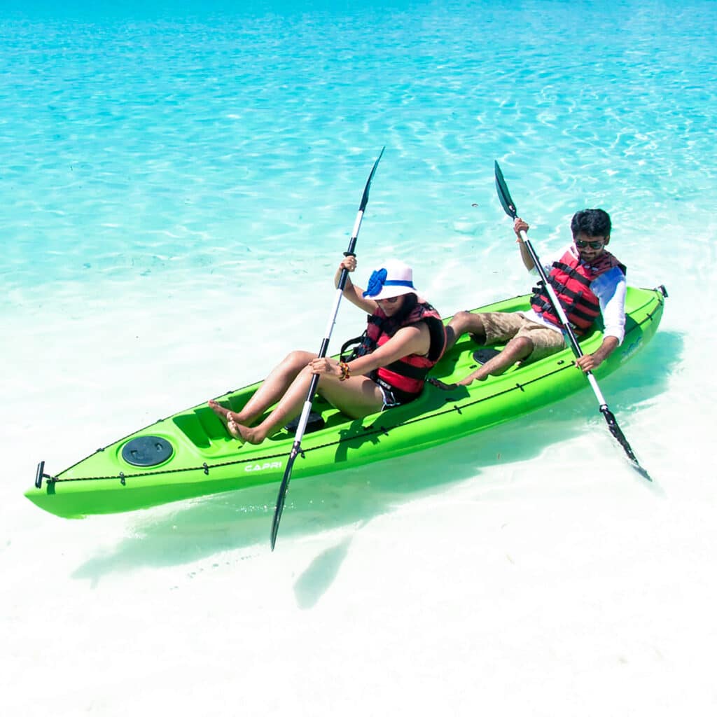 Dolphin & Tangalooma Wrecks Cruise - See Moreton