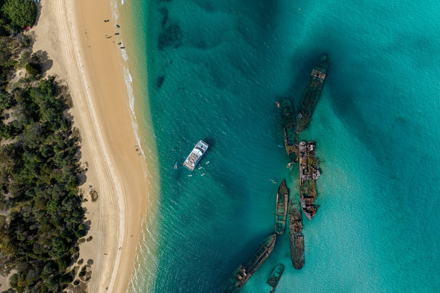 Moreton Island & Tangalooma Wrecks tour with buffet lunch