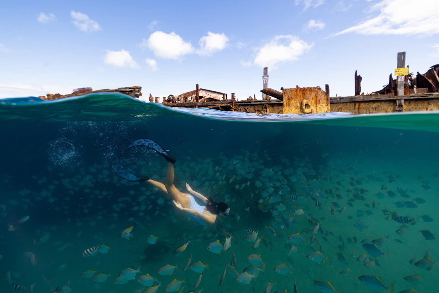 Moreton Island & Tangalooma Wrecks tour with buffet lunch