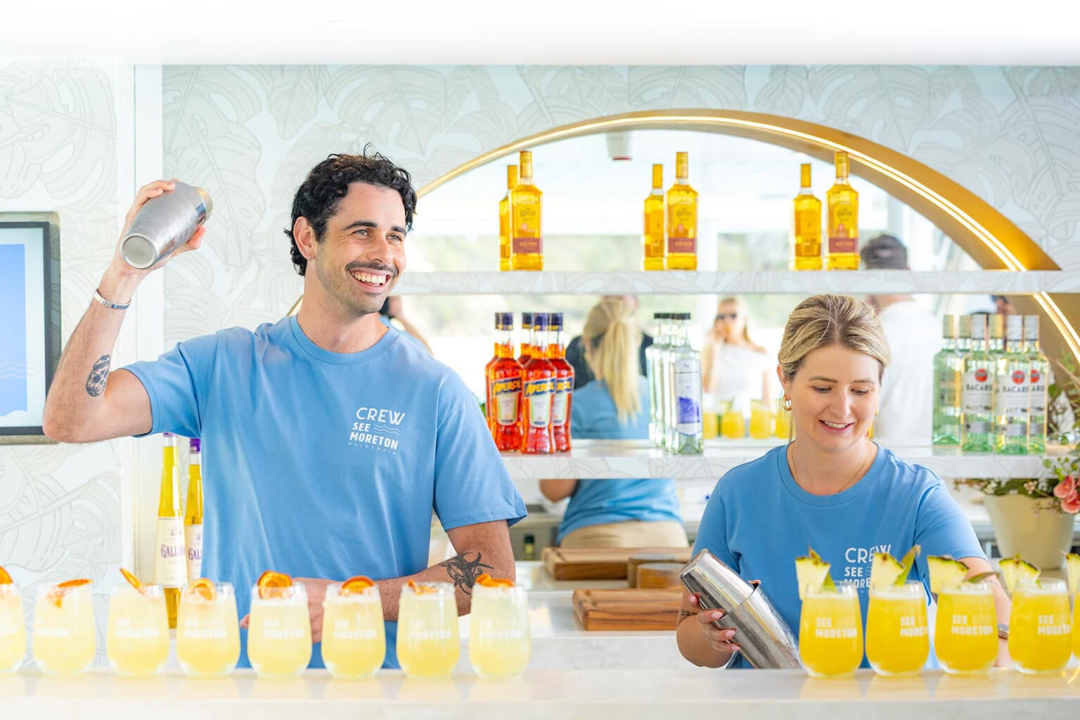 Moreton Island & Tangalooma Wrecks tour with buffet lunch